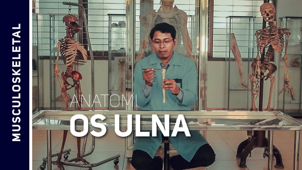 Os Ulna – Virtual Learning Fakultas Kedokteran UNS